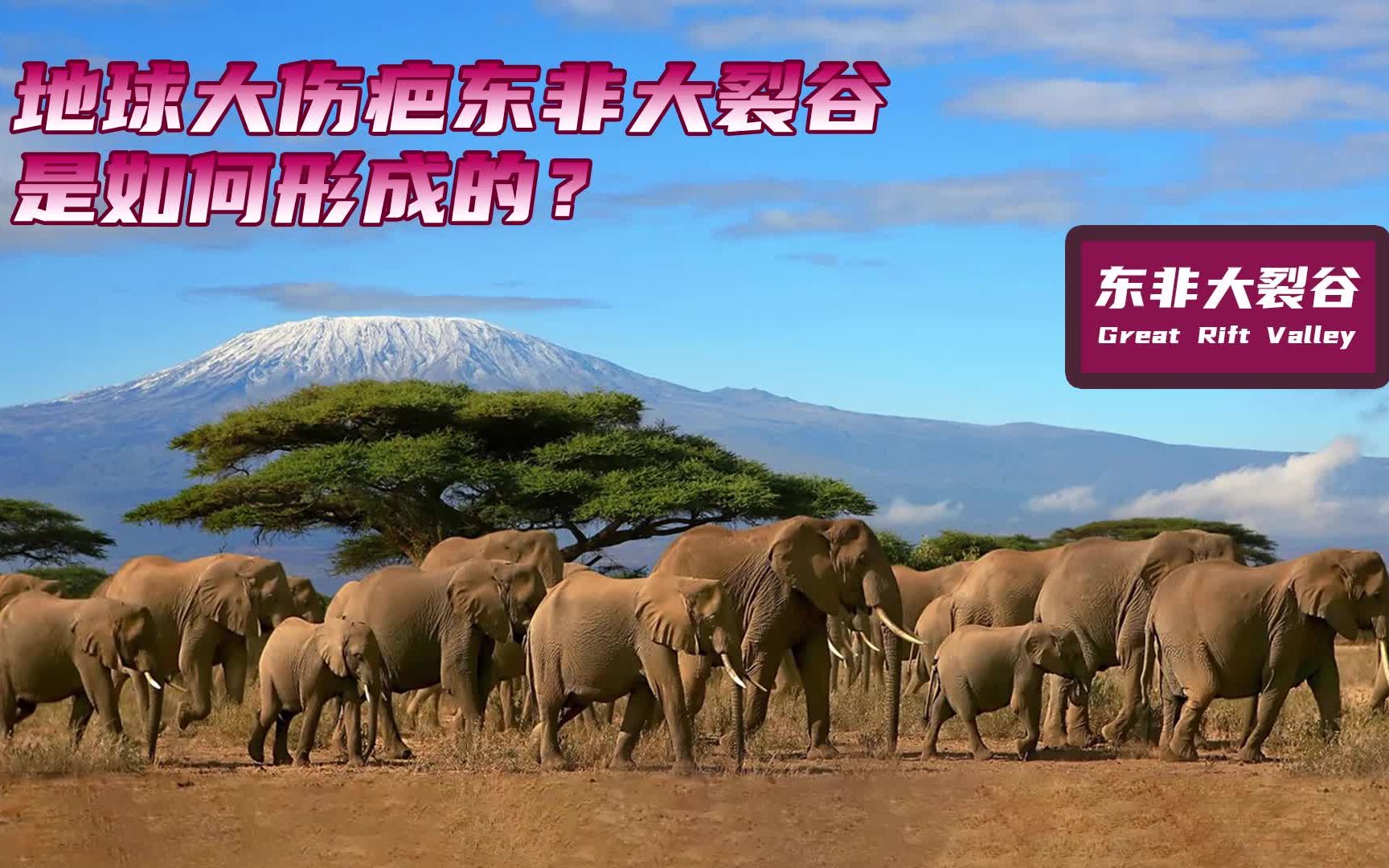 东非大裂谷是如何形成的?全长约6000公里未来很可能形成海洋