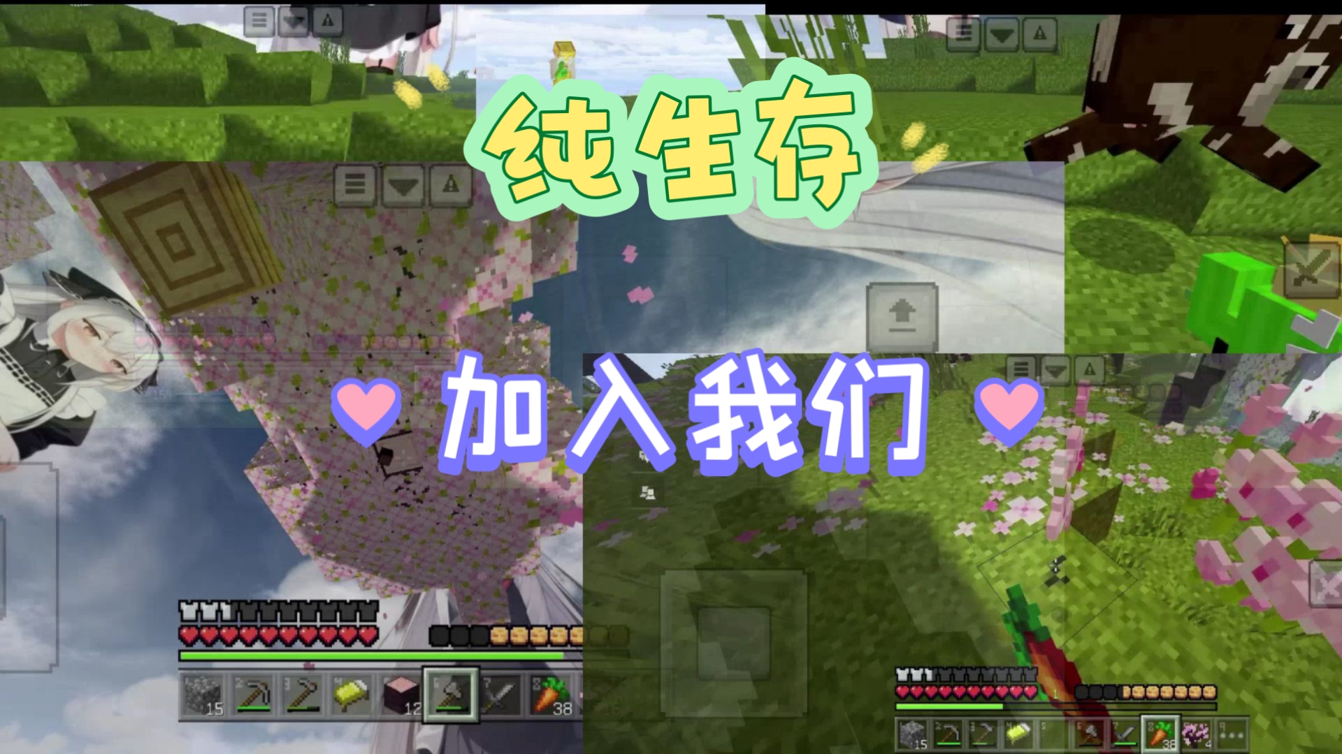 我的世界纯生存系列