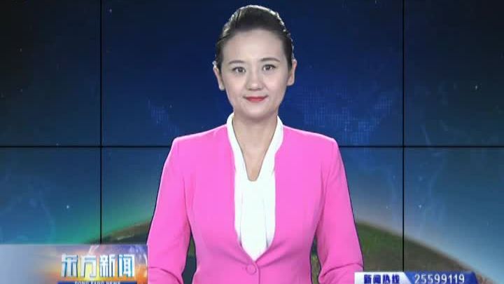东方:发挥党组织的战斗堡垒和党员先锋模范作用 助力海南自贸港