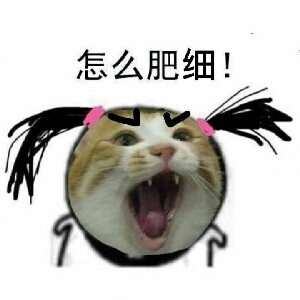 本猫皱了皱眉 