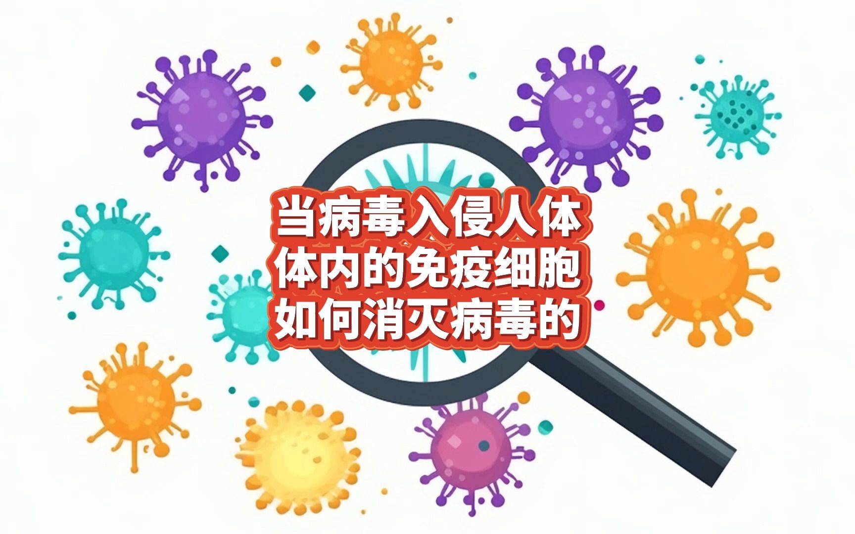 当病毒入侵人体后,体内的免疫细胞是如何消灭病毒的