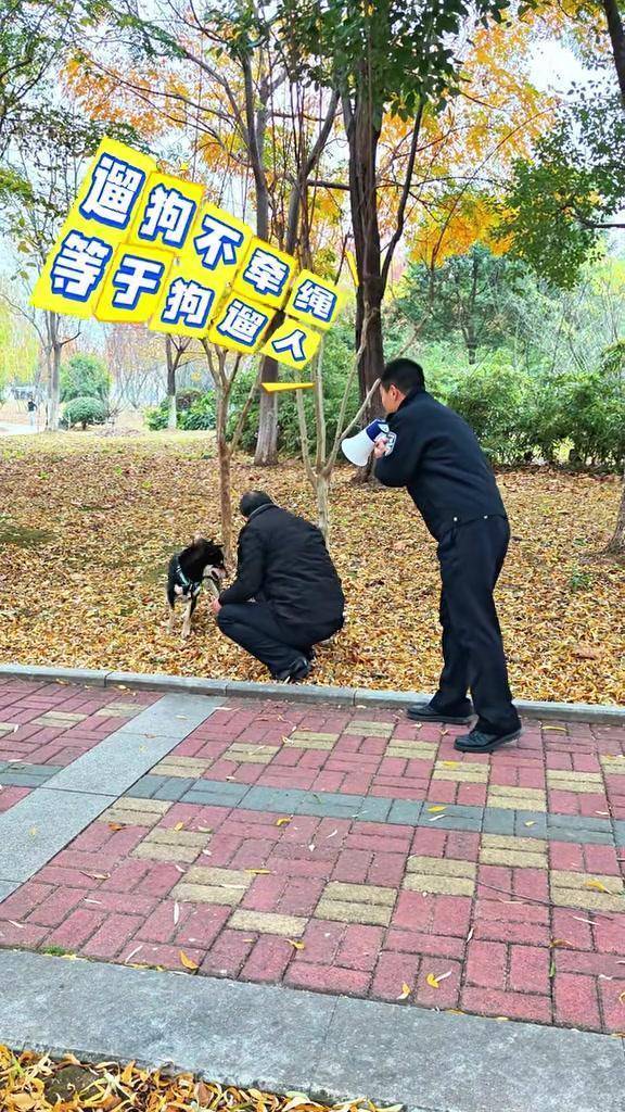2026年1月1日起养犬有"新规",违反者可被拘留!#养犬条例#新治安管理...