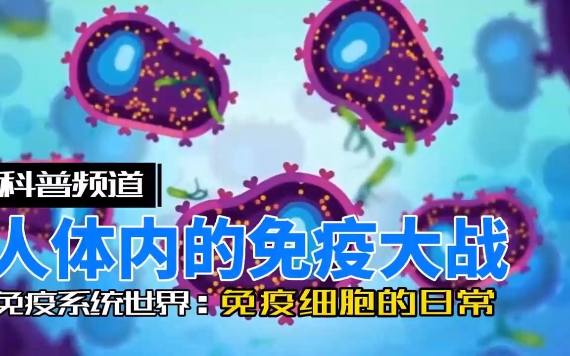 人体内部竟是细菌和病毒繁育的温床!