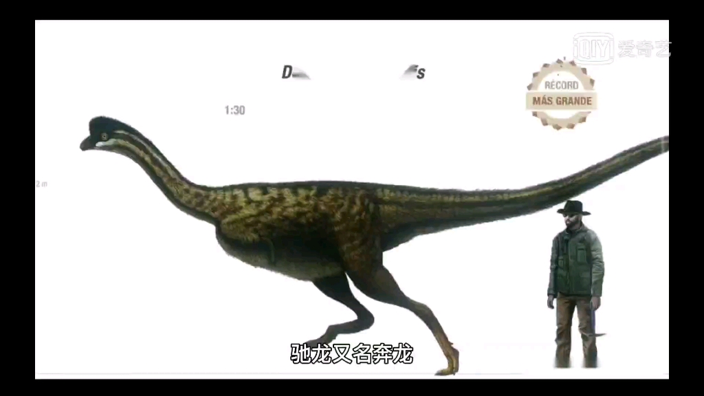 恐龙时代了解每个恐龙的典型特征,满足小恐龙迷们的需求