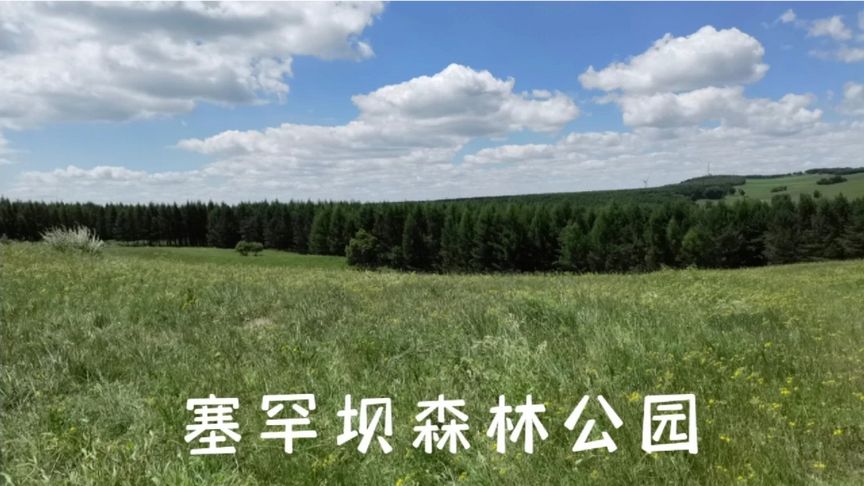 塞罕坝国家森林公园,避暑胜地,国家5A级旅游景区,今年免门票