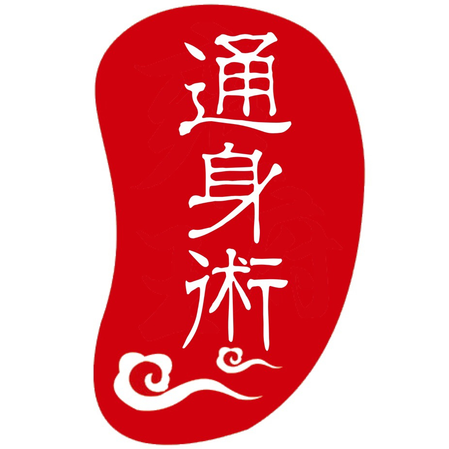 五点两线通身术 