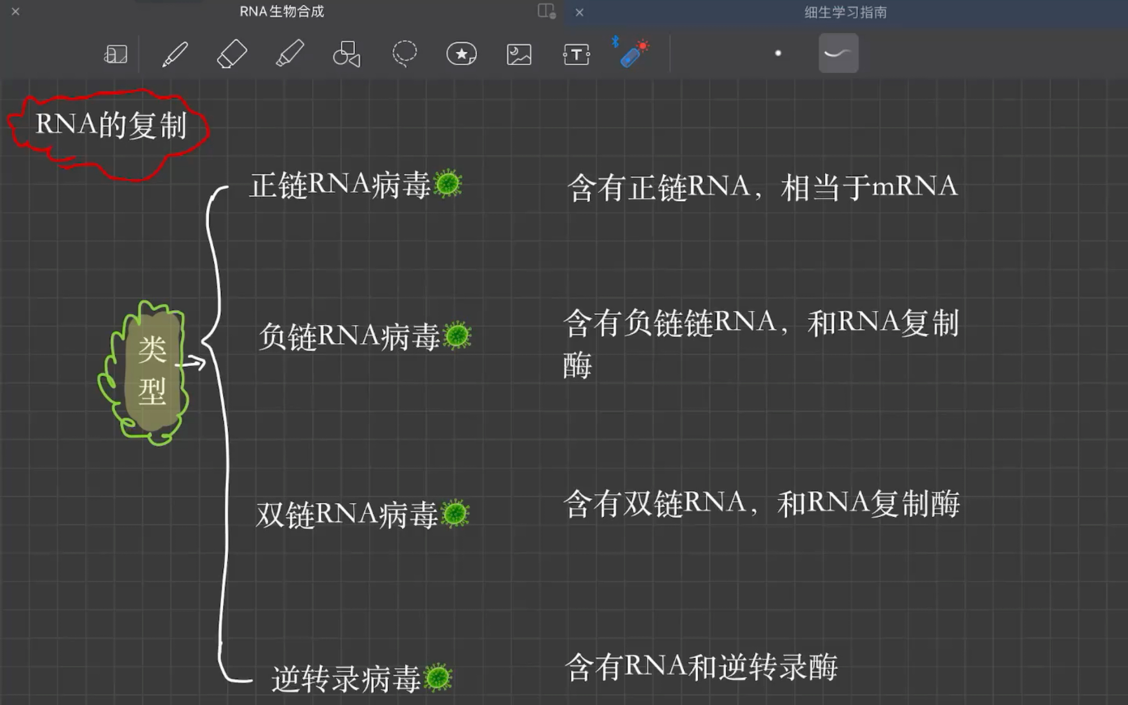 RNA复制,正链,负链,双链病毒,逆转录病毒