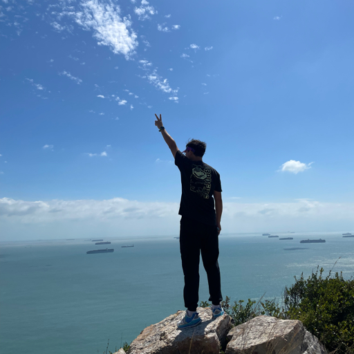 爱飞的胖球 