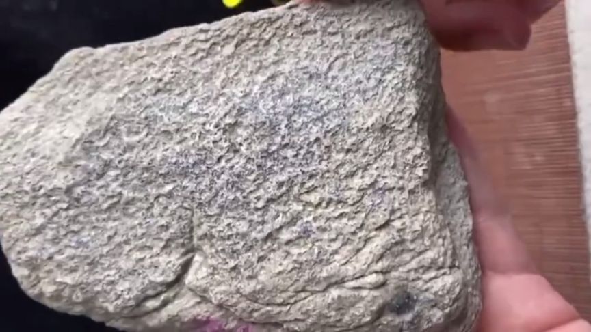 价值缅币5000千万翡翠原石,一起看一下有没有涨,能值五千万吗