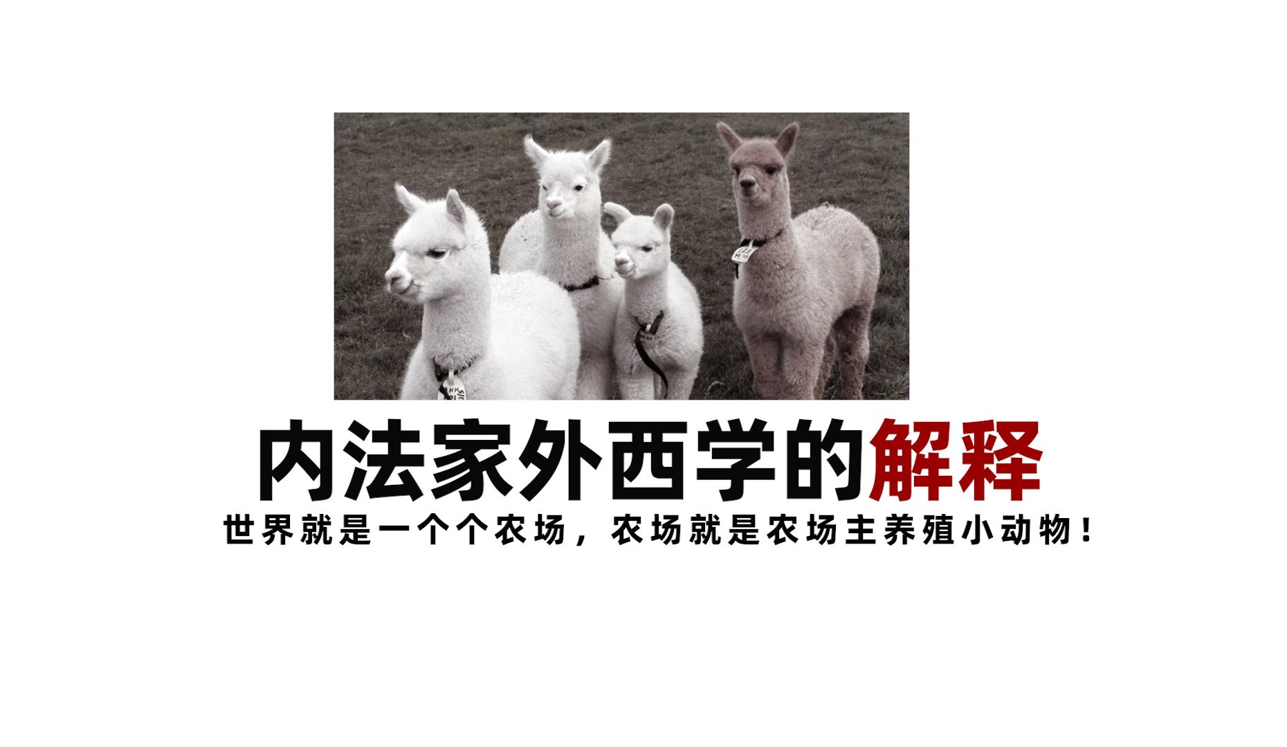 硬核文章推荐 | 三眼养殖观:内法家外西学的解释!作者:第三只眼观