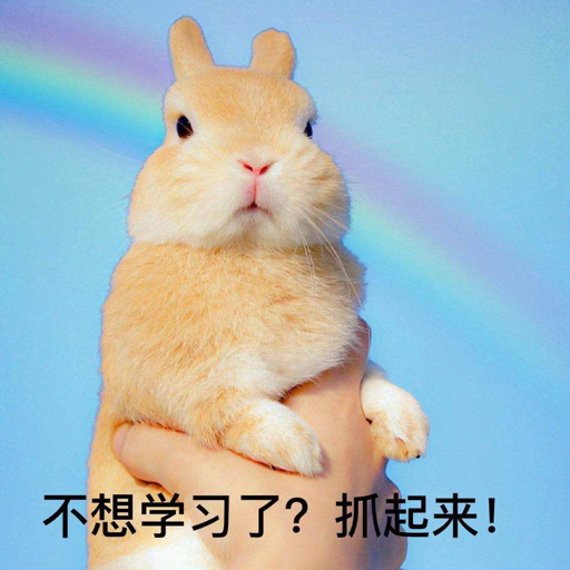 开个小号继续学 