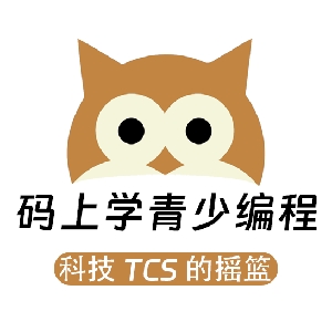 码上学青少编程 