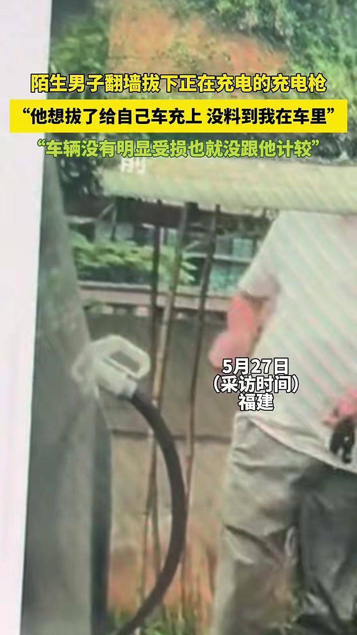 陌生男子翻墙拔下正在充电的充电枪“他想拔了给自己车充上没料到我...