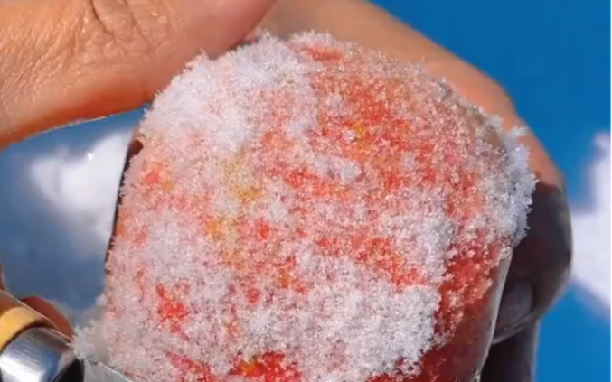 在雪地里切开一颗丑丑的苹果,太惊艳了,满满的冰糖心。