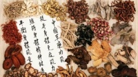 中药功效基本知识