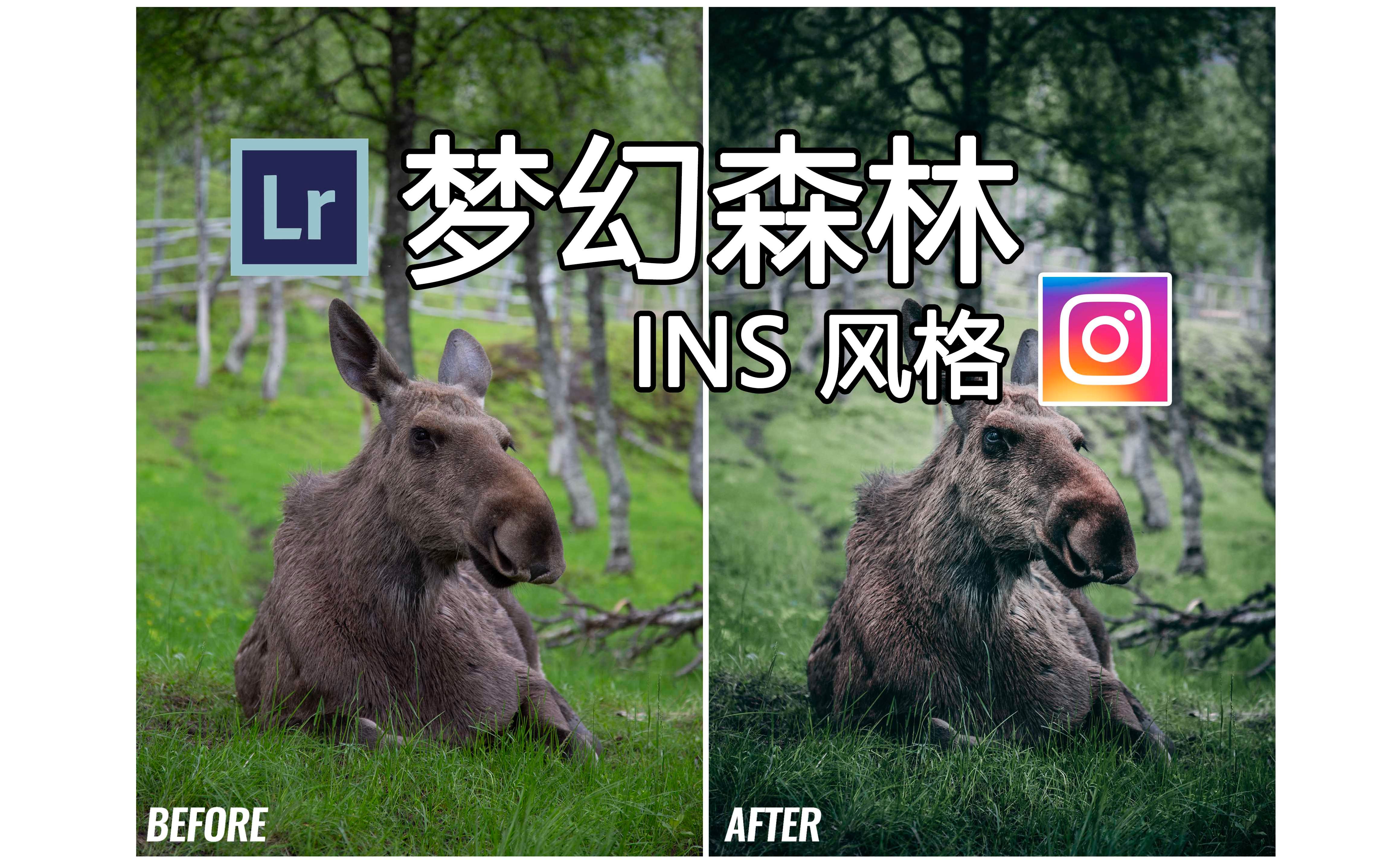 【LR调色教程】INS风格 梦幻森林调色 拯救照片平淡 lightroom教程
