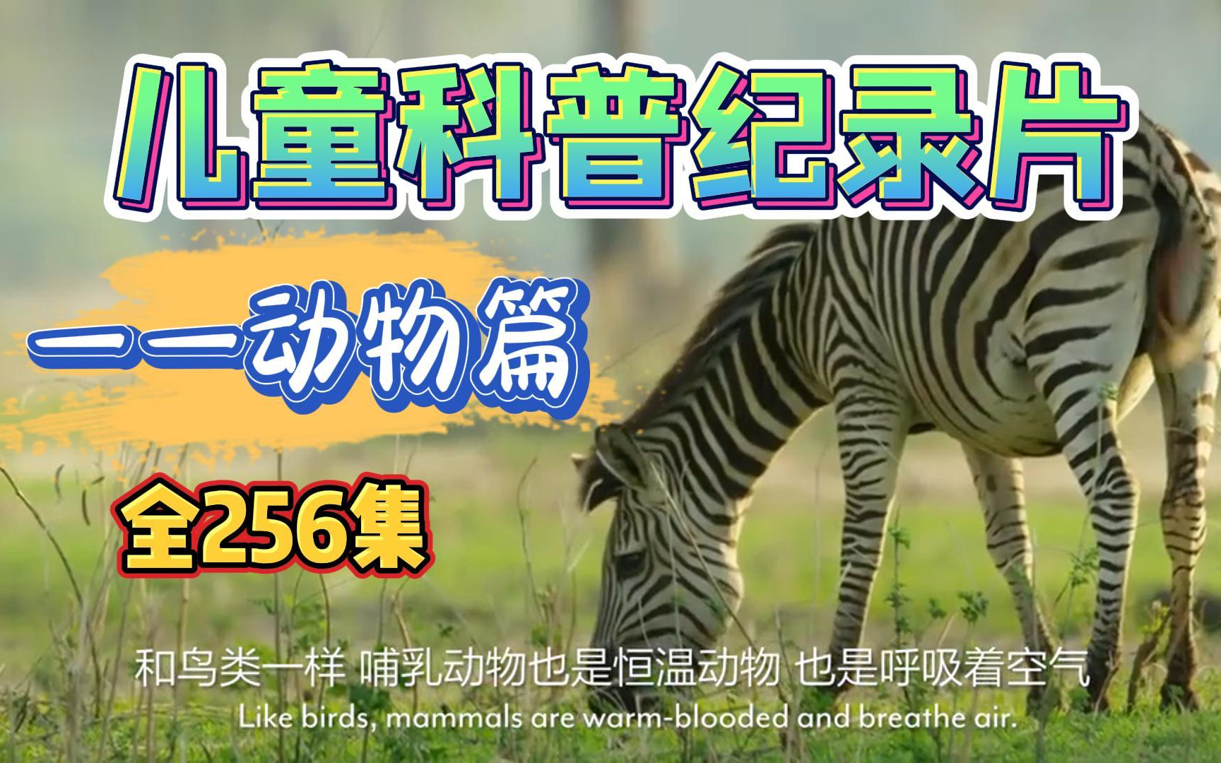 【全256集】央视推荐 让孩子知识暴涨的儿童科普动画启蒙 适合3-15岁...