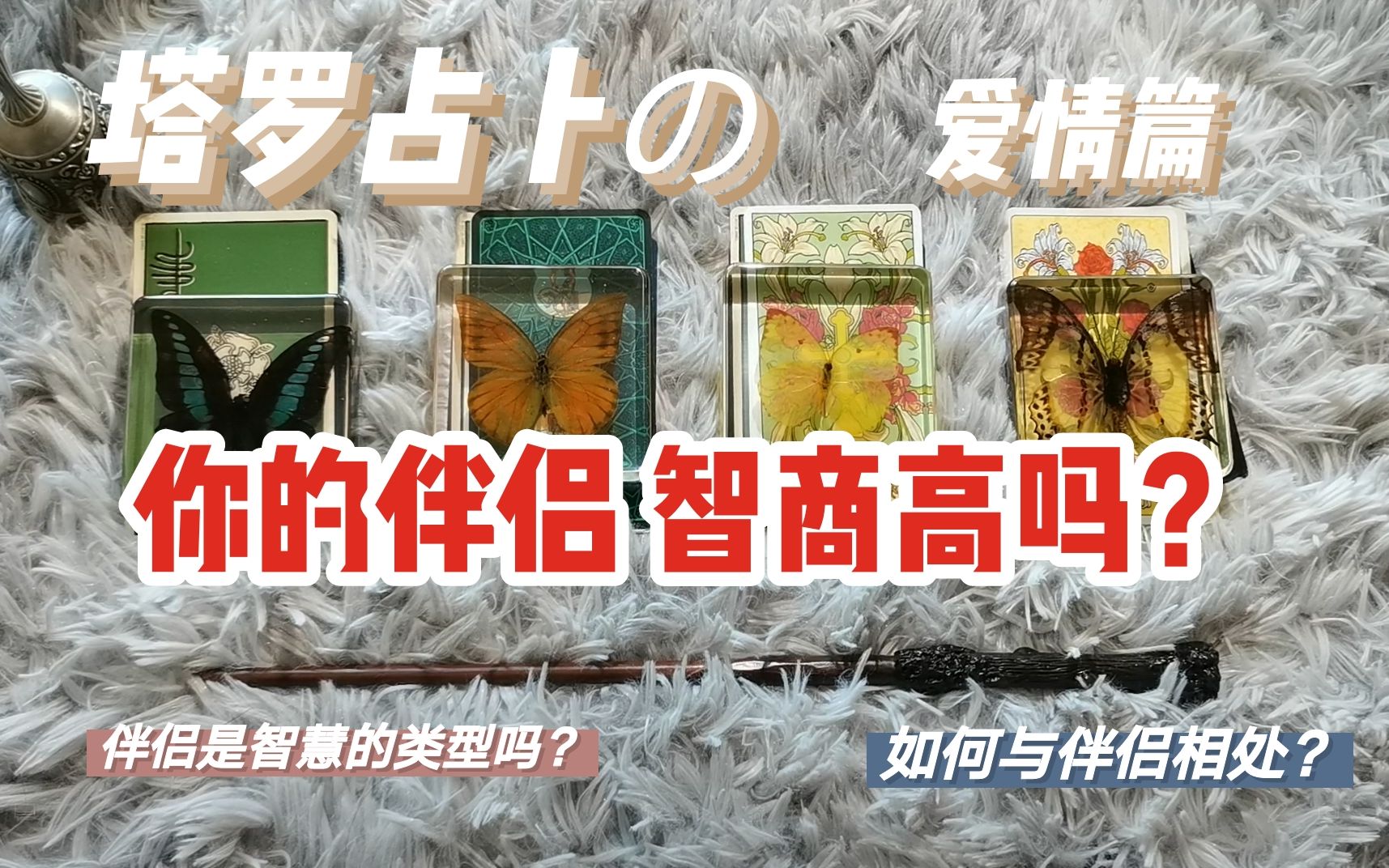 【塔罗占卜】你的伴侣智商高吗?未来伴侣的智慧