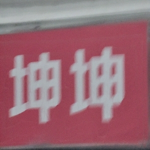 蔡欣坤 