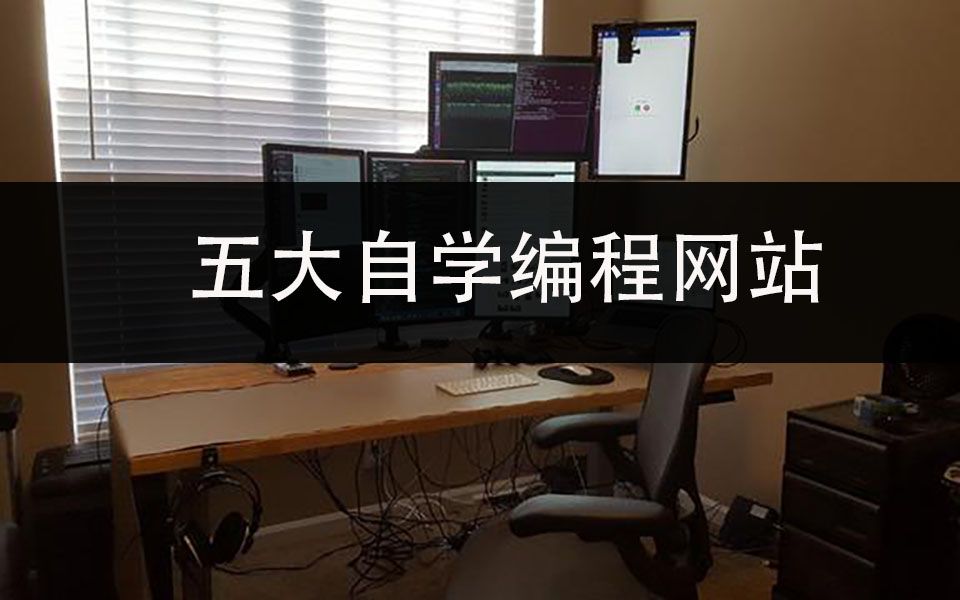 初高中自学编程,五大自学编程的网站,宅家养膘顺带学学编程