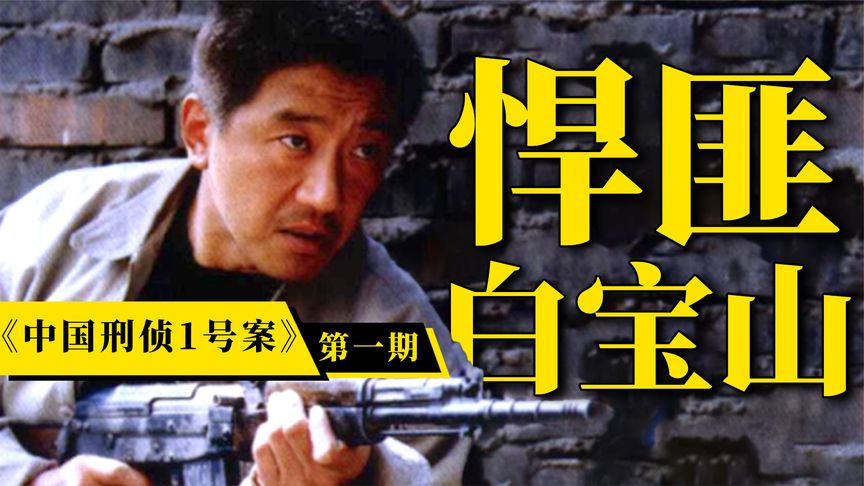 9.2分,根据真实案件改编,这部以白宝山为原型的刑侦剧封神了!