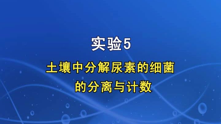 实验5土壤中分解尿素的细菌的分离与计数