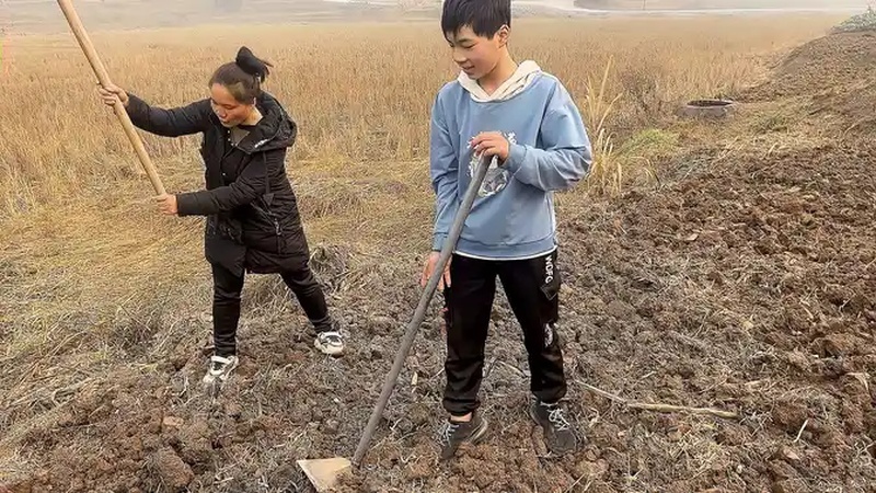 孩子读书不行小学毕业只有种地