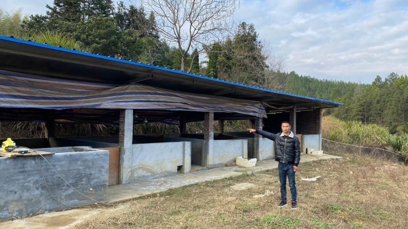 90后小伙养殖8只不起眼动物,50个平方能收入210000元,真羡慕