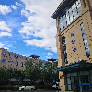 杭州东方中学国际部 