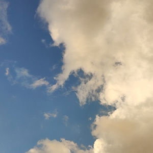 提醒我解冻冰箱的猪肉 