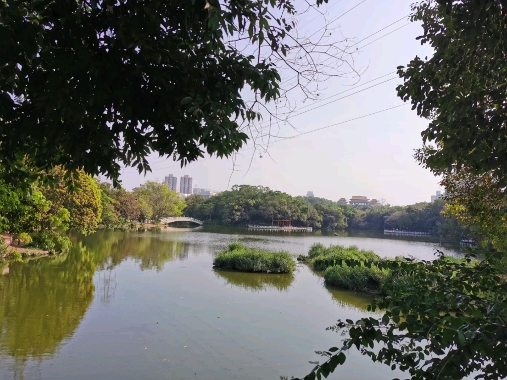 深圳水库:位于罗湖,为国家级水功能区、国家地表水环境质量标准II类...