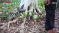 英国雷迪管线探测仪教学视频