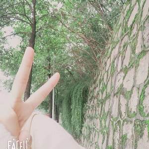 MO陌沫花开 