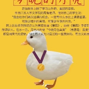 七迹い 