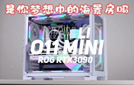 联力包豪斯mini机箱+ROG败家之眼RTX3090 是你梦想中的海景房吗