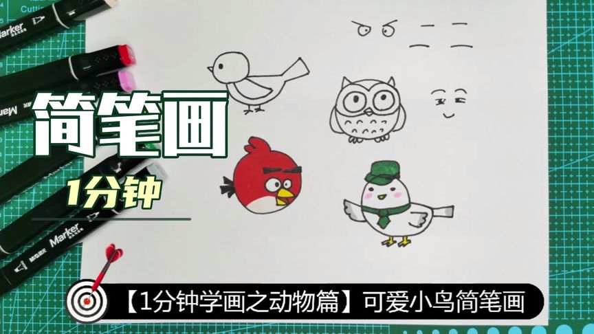 【1分钟学画之动物篇】可爱小鸟简笔画