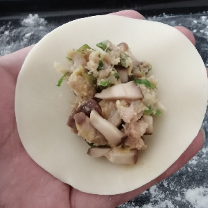 爱吃饺子的生物老师 