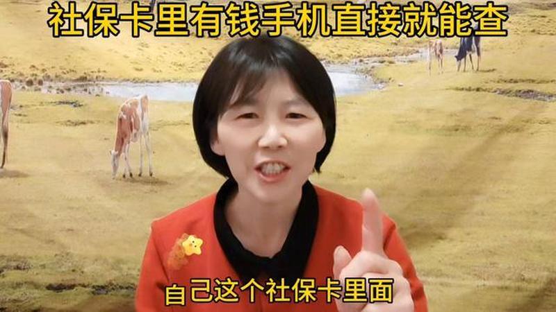 揭秘社保卡余额查询大法!一查即知!