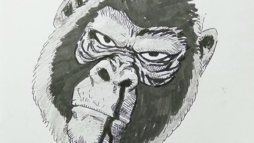 简笔画一只流鼻血的卡通大猩猩