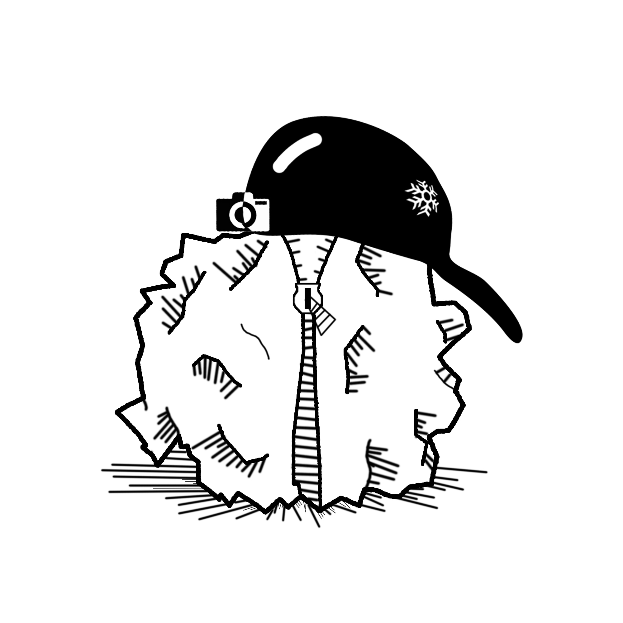 一颗坚硬的核桃 