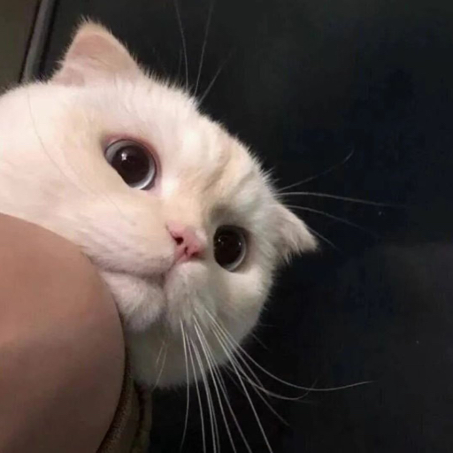 让我想个昵称__ 