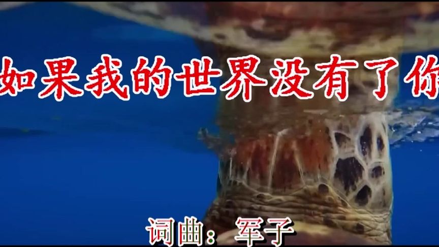 情歌对唱《如果我的世界没有了你》这一辈子注定不会快乐