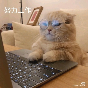 遇言柚子逍遥客 