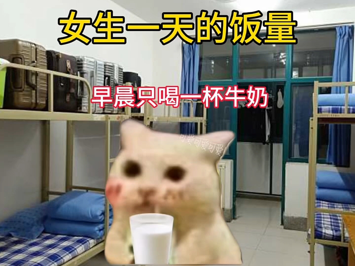 新博主求硬币ߪ