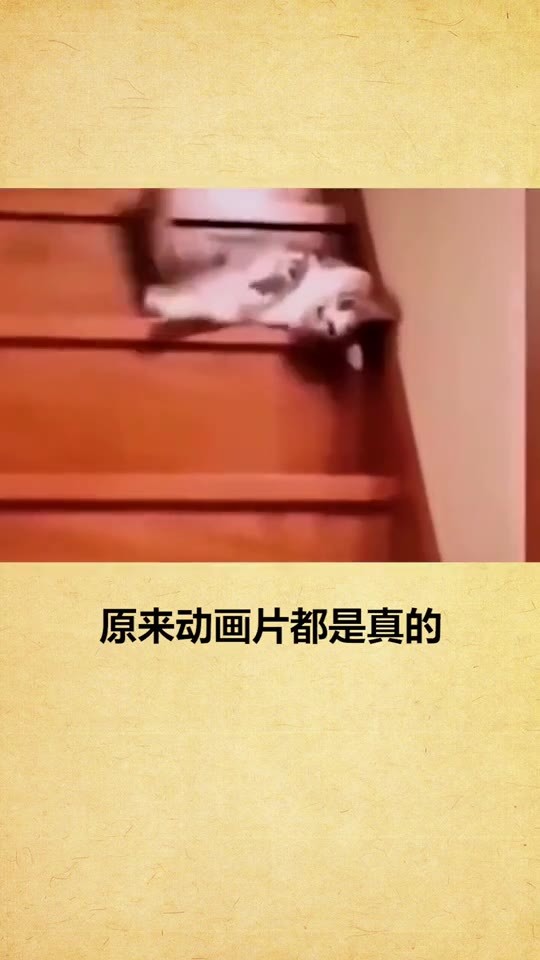 原来动画片,演的都是我们的生活啊