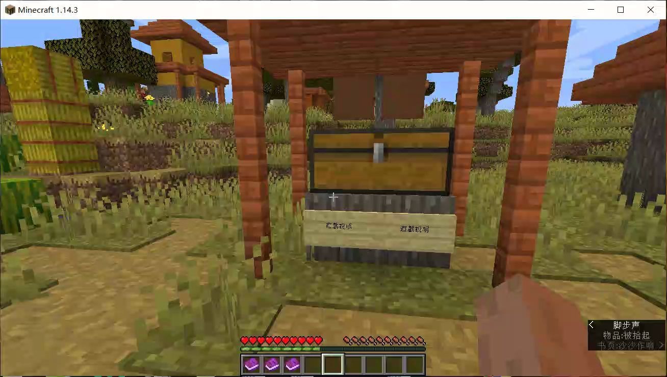 我的世界岩浆末日【阿神玩过】