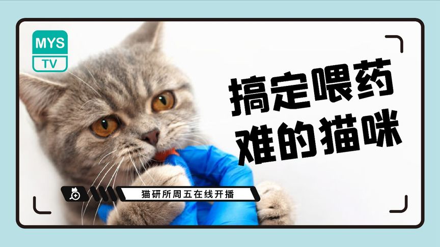 2分钟学会如何给不配合的猫咪喂药