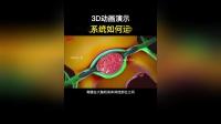 3D医学动画:神经系统是如何运作的