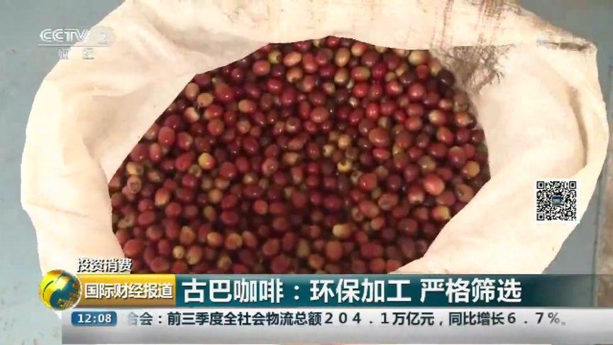 一文揭秘:顶级的“古巴蓝山咖啡”是如何生长采收的