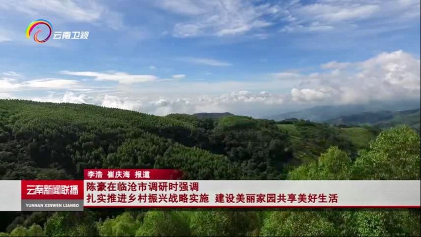 陈豪强调 扎实推进乡村振兴战略实施 建设美丽家园共享美好生活